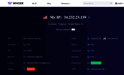 Whoer.com website. WHOER IP Lookup - Check IP Location, DNS & Privacy.
